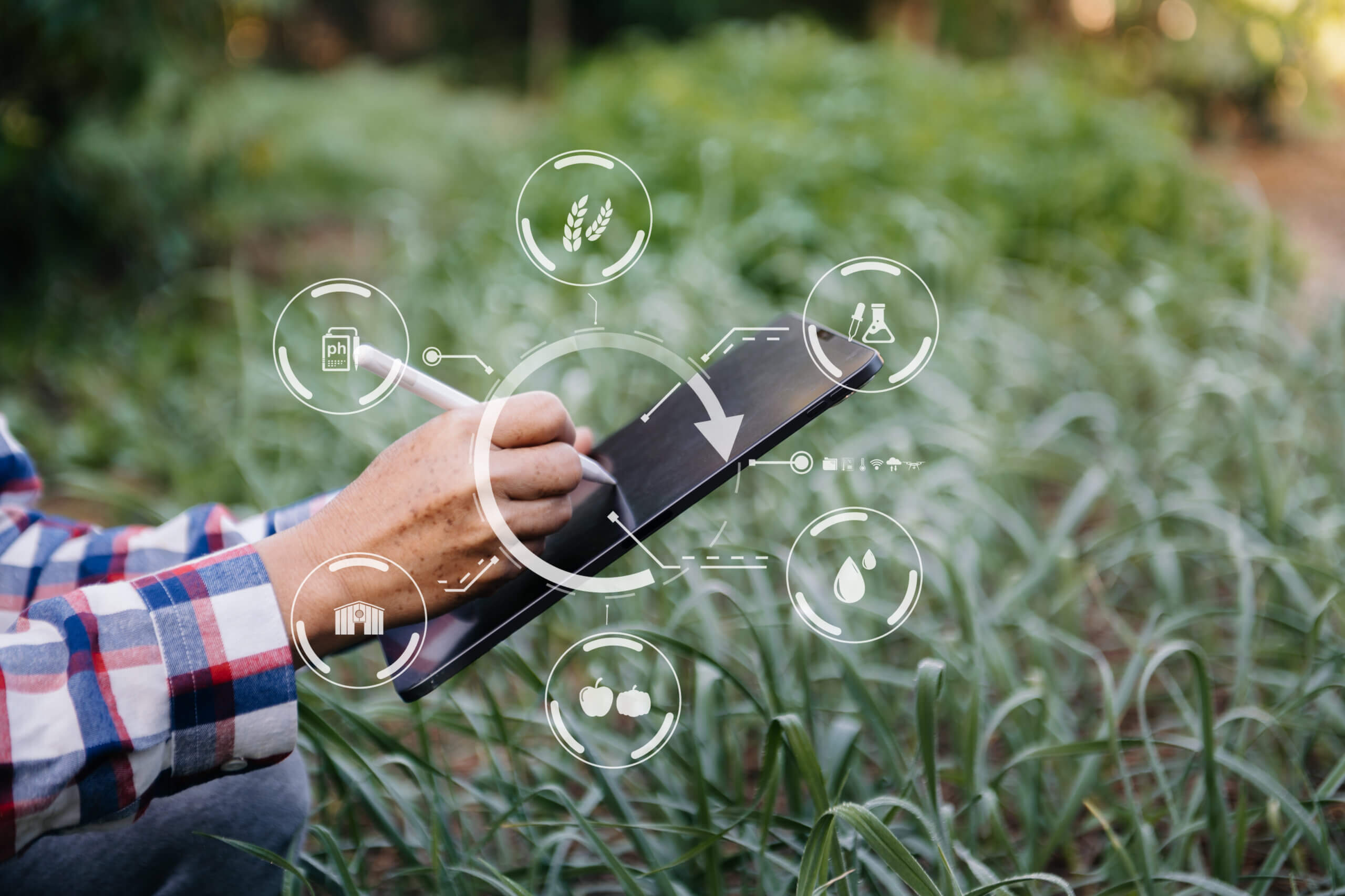 Crop Traceability & Output Prediction - PlanetEye Farm-AI